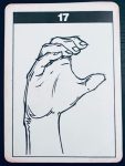 American Sign Language Handshapes - Learn Sign Language