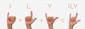 American Sign Language Handshapes